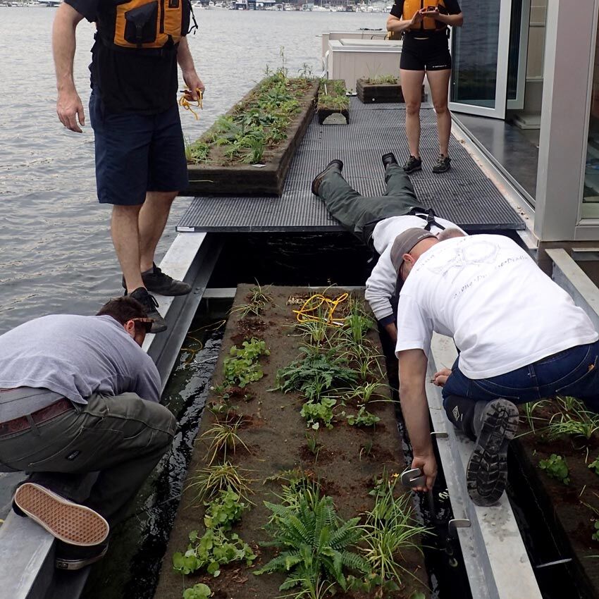 Floating Islands West | BioHaven® Treatment Wetlands | Our Brand