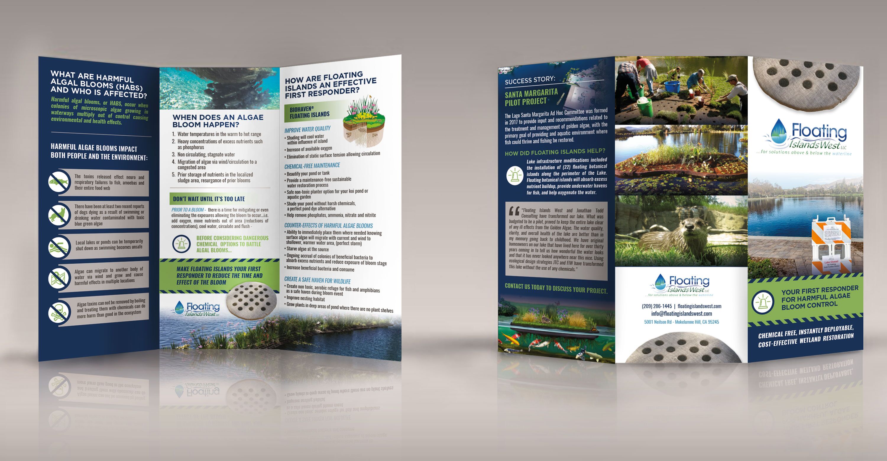 Floating Islands West | Algae Blooms | Floating Island West Glossary