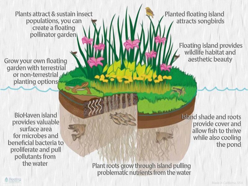 Floating Islands West | BioHaven® Floating Treatment Technology