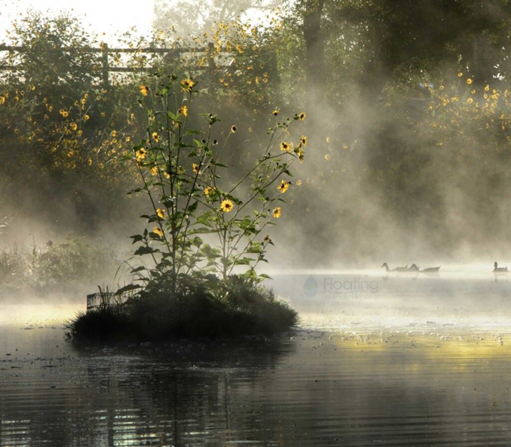 Floating Islands West | BioHaven® Floating Treatment Technology