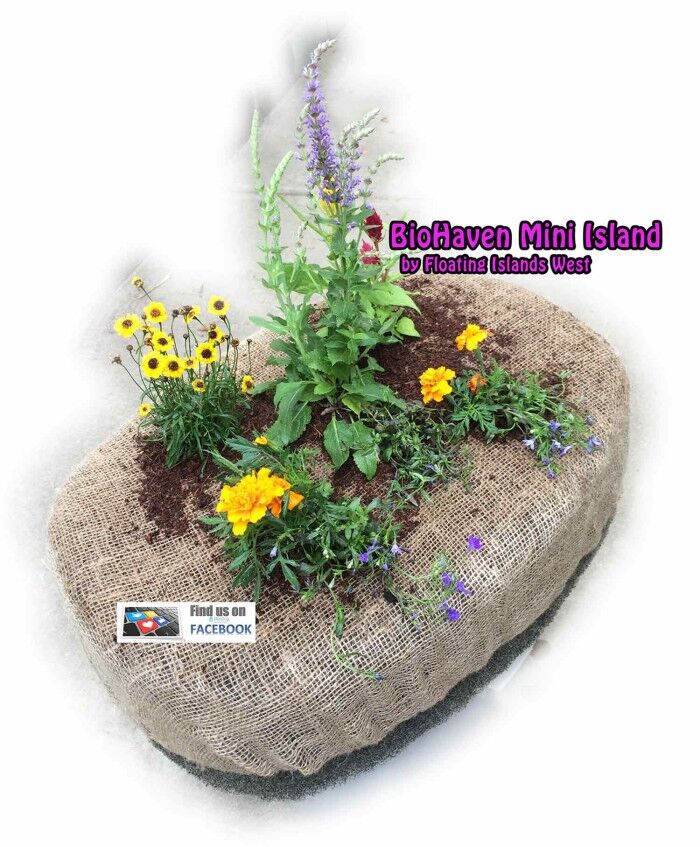 Floating Islands West | Mini Pond Island | Mini Koi Pond Islands