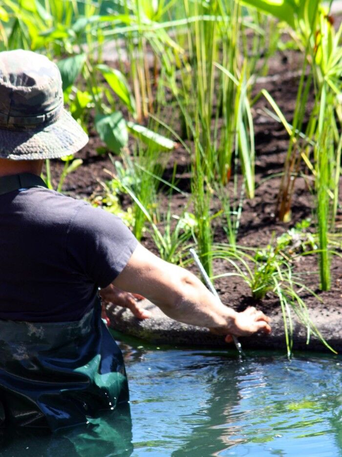 Floating Islands West | BioHaven® Floating Treatment Technology