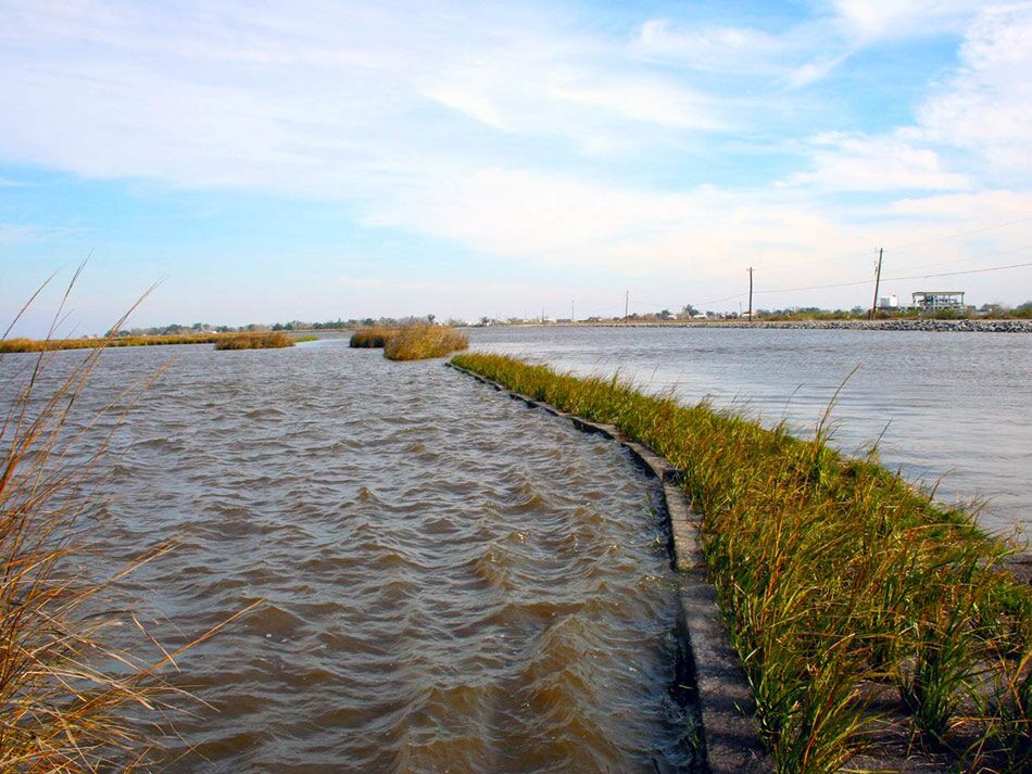 Floating Islands West | BioHaven® Floating Treatment Technology