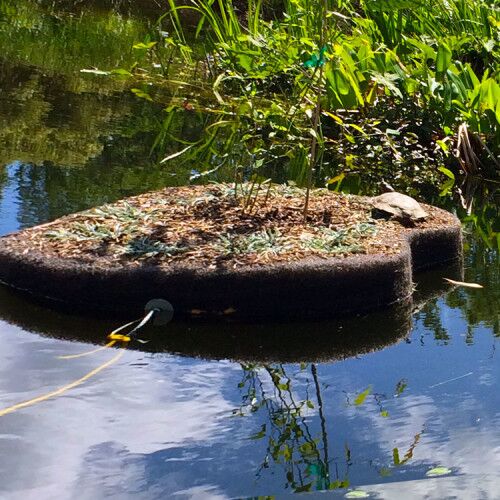 Floating Islands West | Mini floating islands | IPO 200