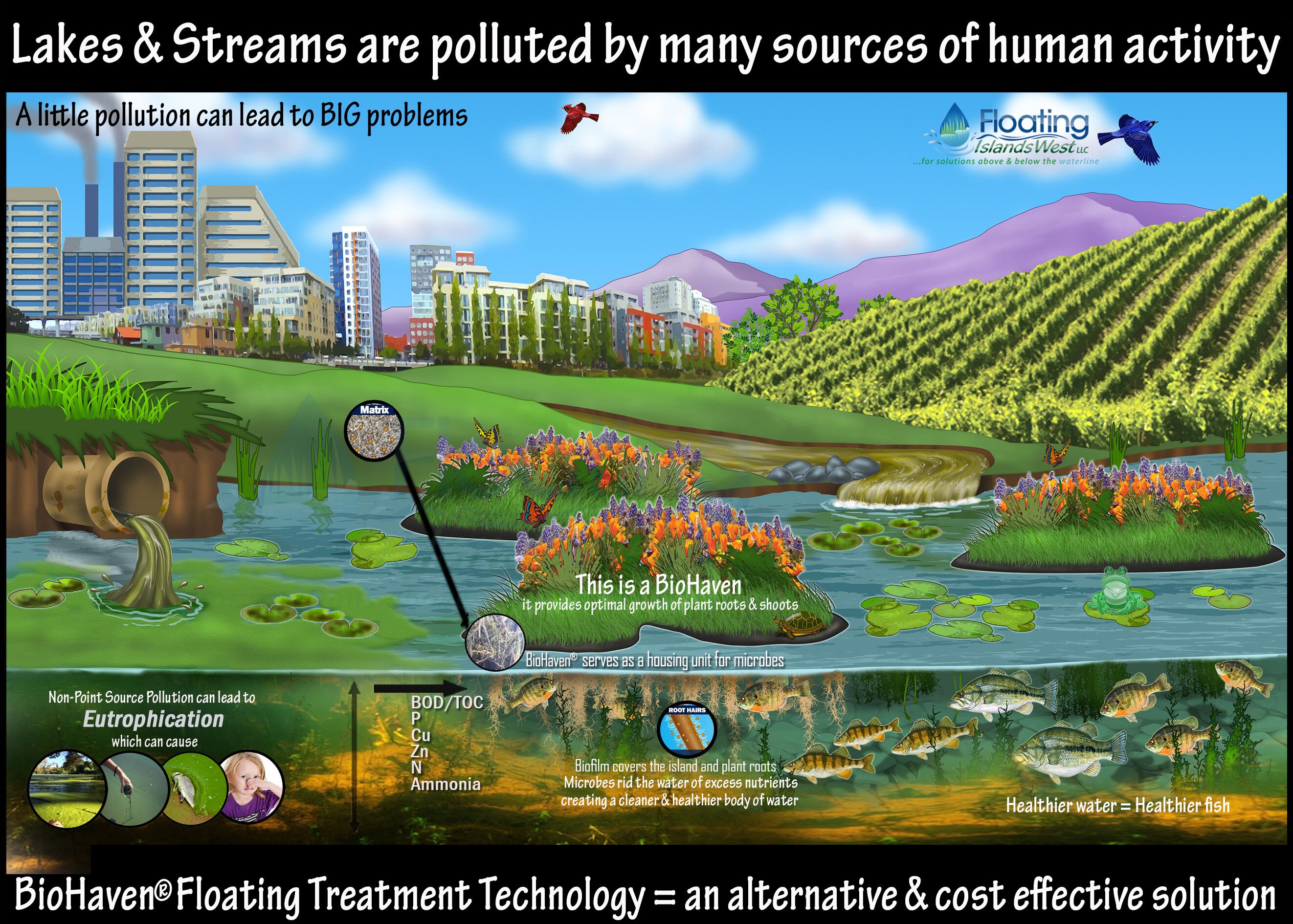 Floating Islands West | Water Quality | Science