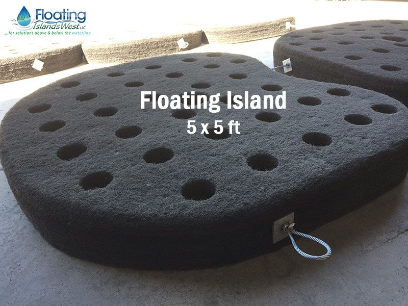 Floating Islands West | Wetland & Habitat Restoration | IPO 500